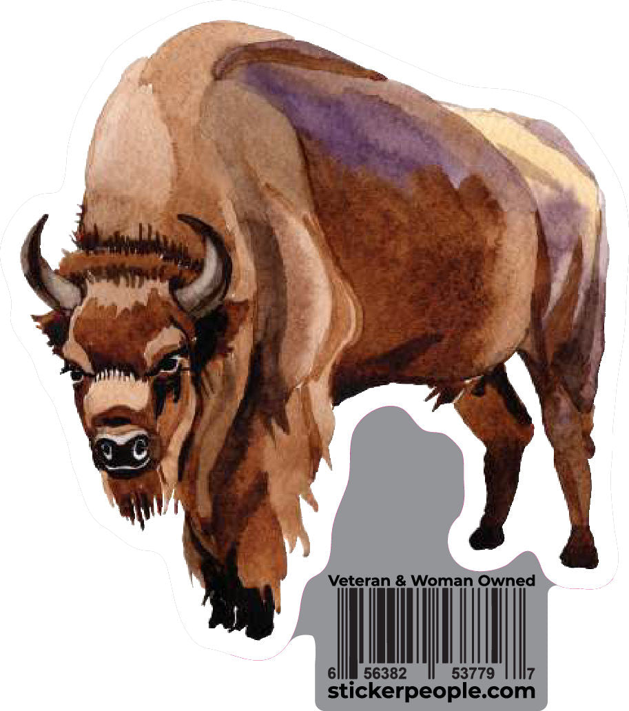 Water Color Buffalo 3 | Buffalo Sticker | Sticker People